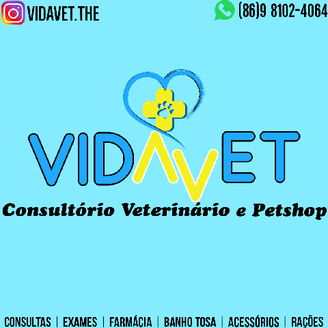 Vida Vet Consultório Veterinário e Petshop - Linkbio | Instabio