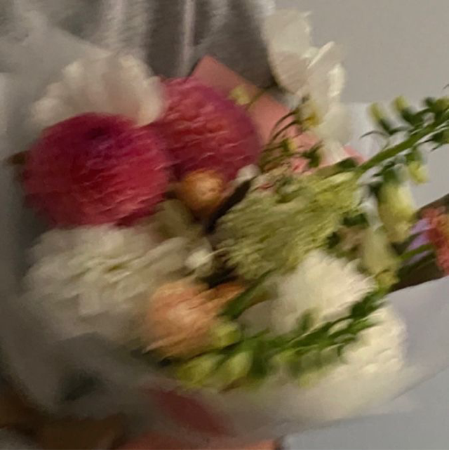 SHOP FEBIN - Linkbio | Instabio