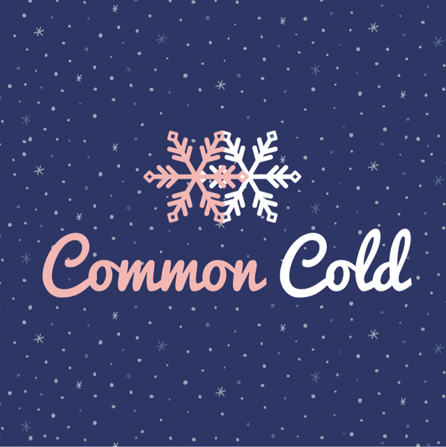 Cool Style for Every Season - Linkbio | Instabio