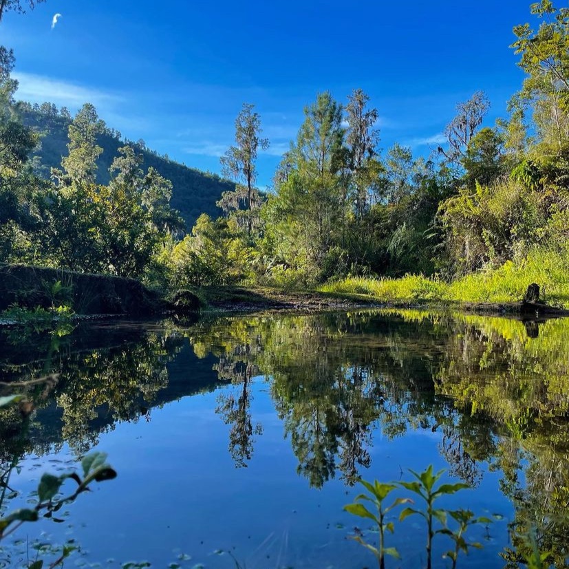 Explorando Ando RD - Instabio | Linkbio