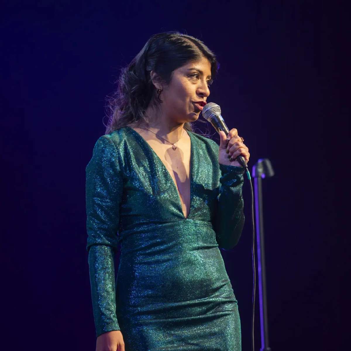 Felisa Vicente - Linkbio | Instabio