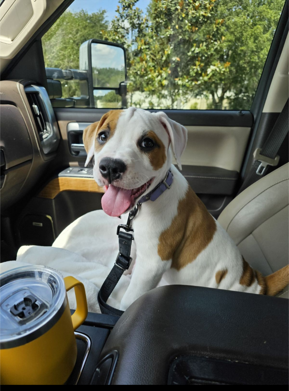 Stormi Fontaine - Linkbio | Instabio