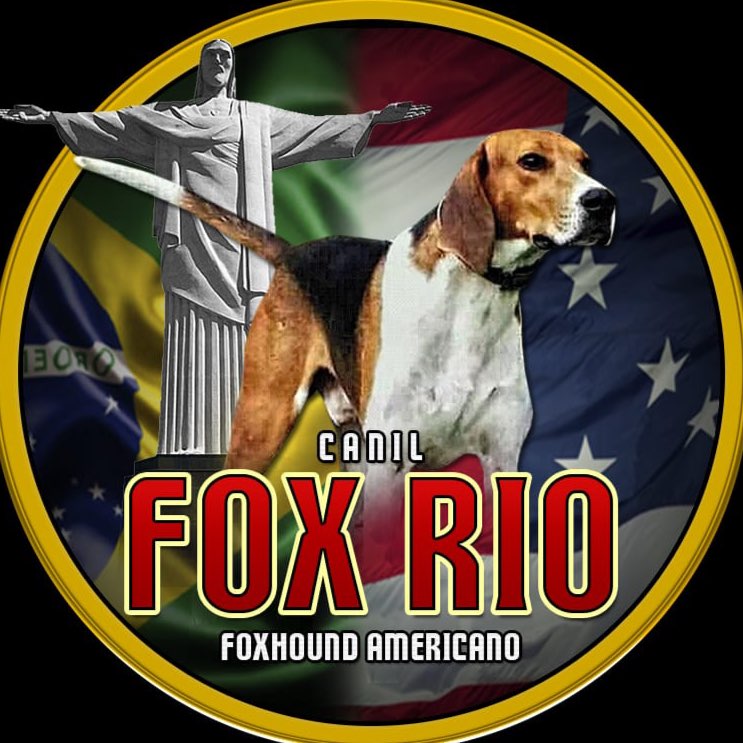 CANIL FOX RIO - Linkbio | Instabio