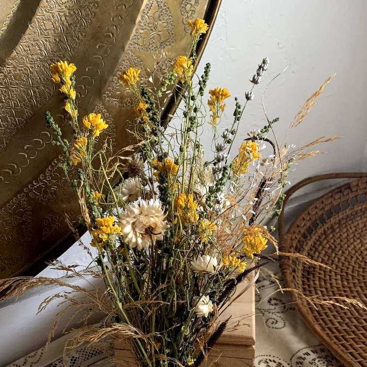 Twig and Snip - Linkbio | Instabio