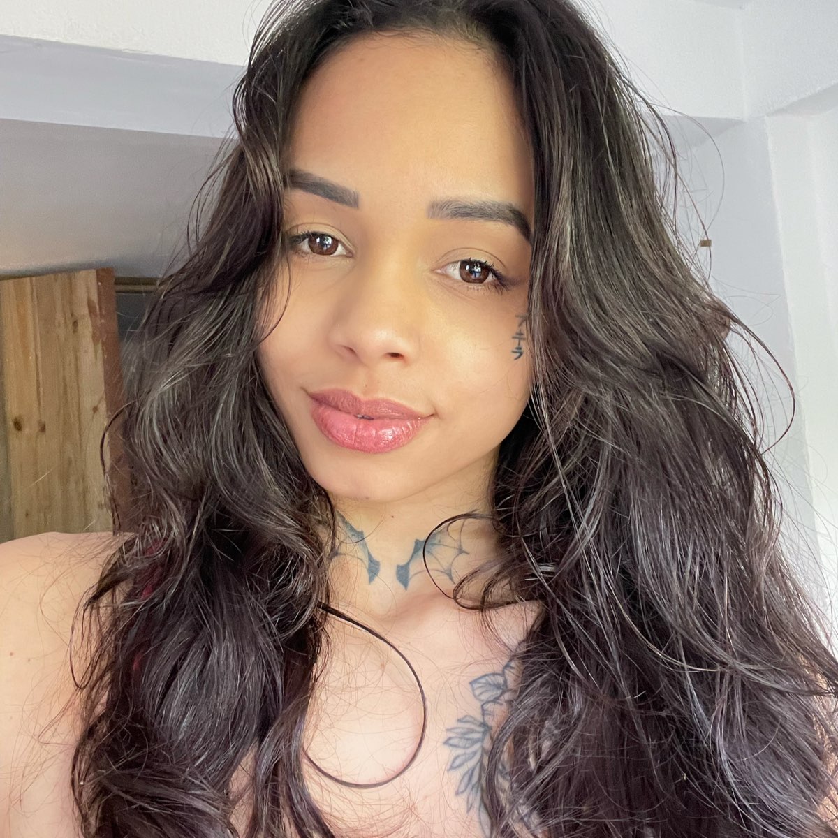 Luz da lua 🌙 - Linkbio | Instabio