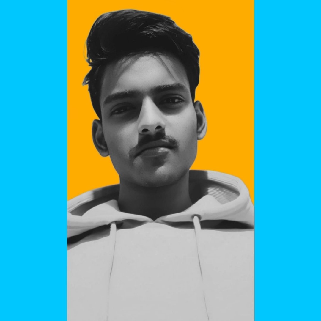 Ritwik Raj - Linkbio | Instabio
