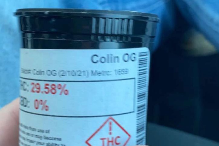 Co1in - Linkbio | Instabio