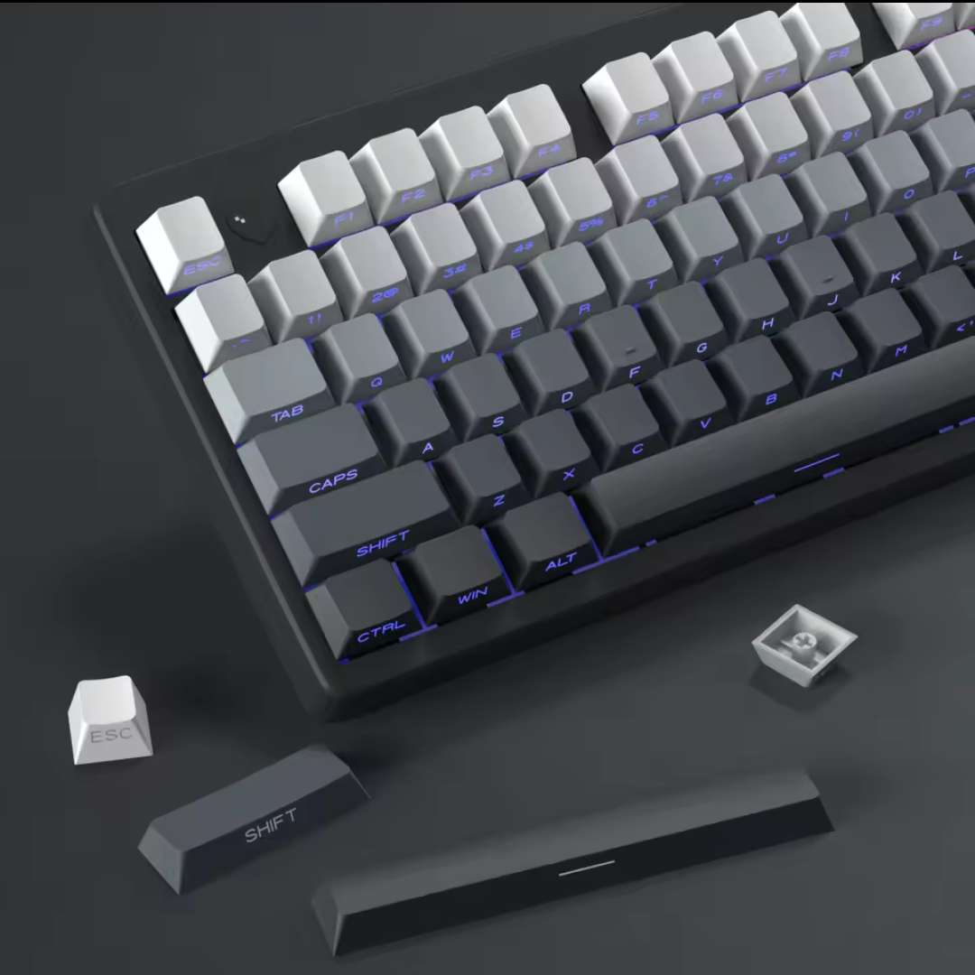 sal.setup