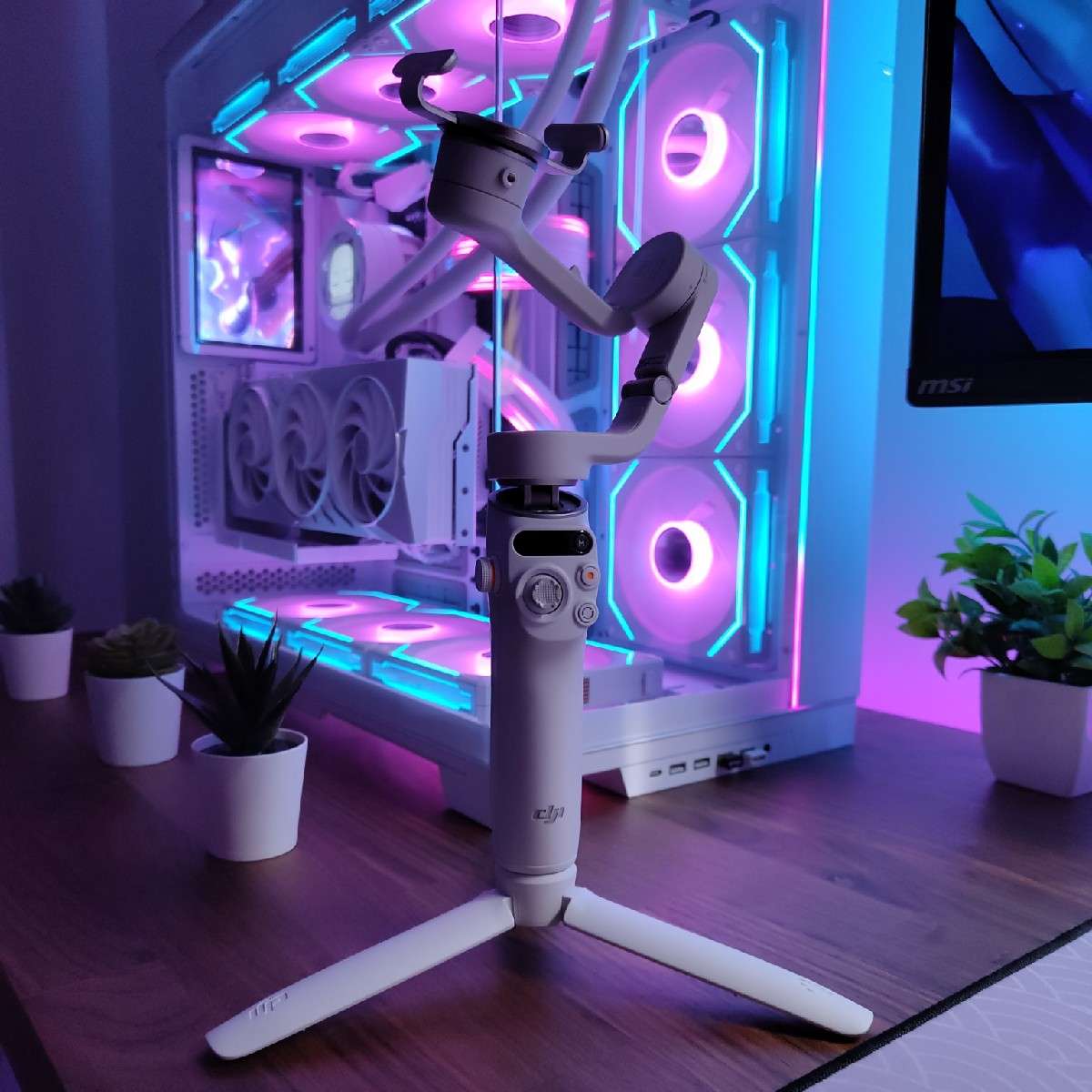 sal.setup