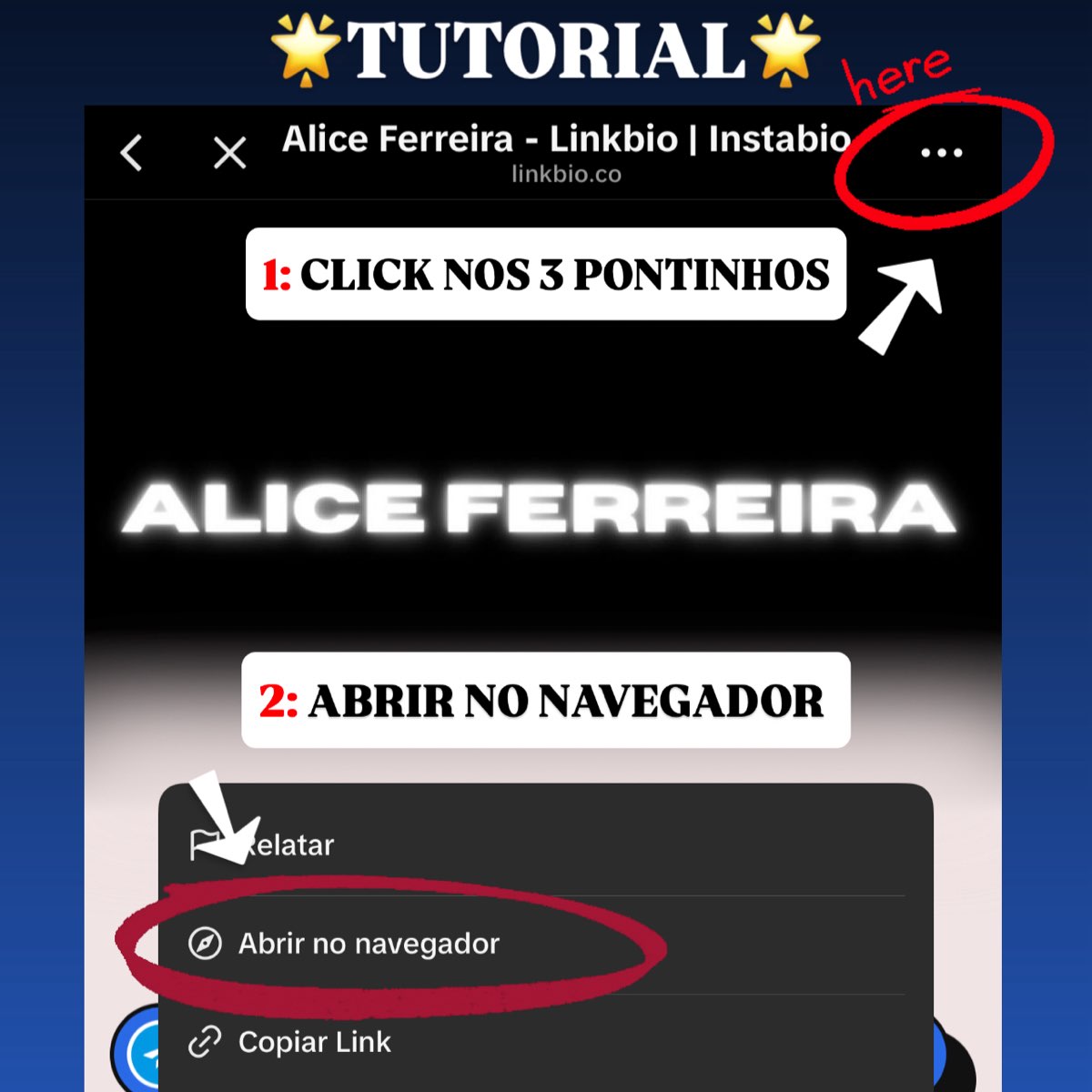 Alice Ferreira - Linkbio | Instabio