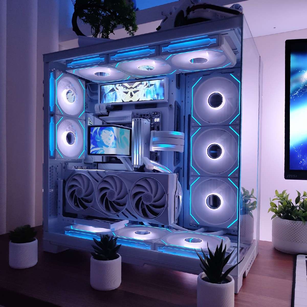 sal.setup